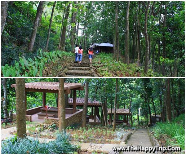 REDISCOVER KIPOT TWIN FALLS