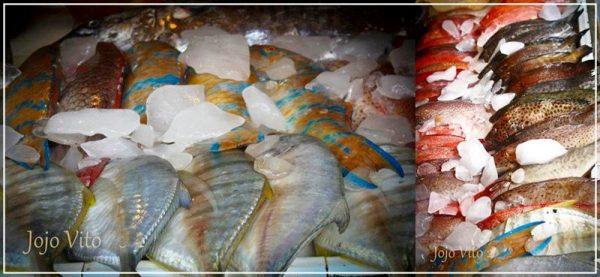 SUTUKIL...AGAIN AND AGAIN