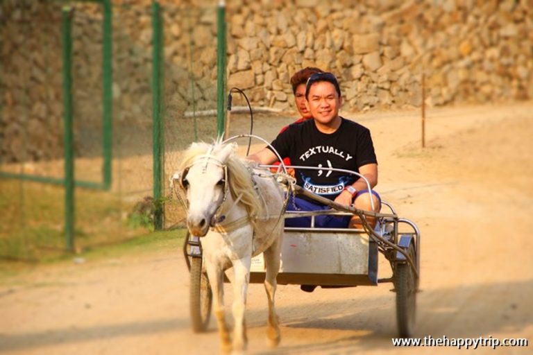 BALUARTE ZOO | ILOCOS SUR | The Happy Trip