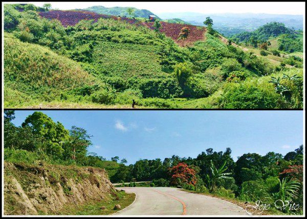 KENNINGTON HILL NATURE PARK, CANDONI NEGROS OCCIDENTAL