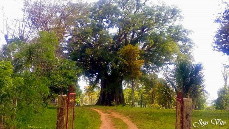 CANLAON CITY GUIDE | TOURIST ATTRACTIONS | PENSION HOUSES