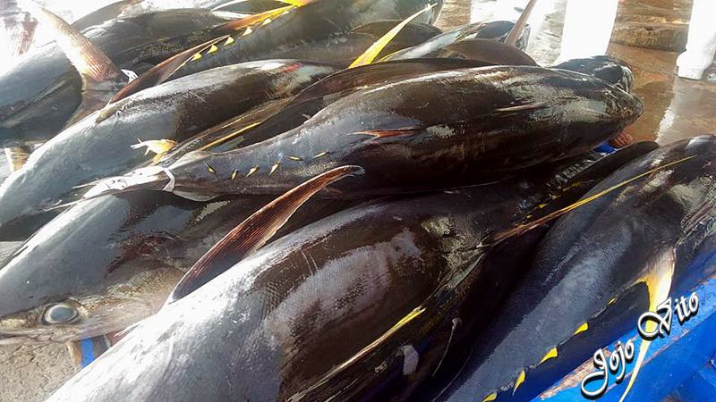 A VISIT TO THE GENERAL SANTOS CITY FISH PORT COMPLEX