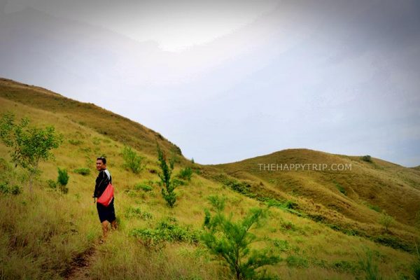 MALALISON ISLAND [ MARARISON ] Travel Guide + Homestays
