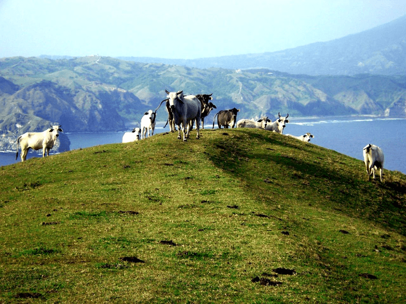 BATANES TOURIST SPOTS + TRAVEL GUIDE | HOTELS