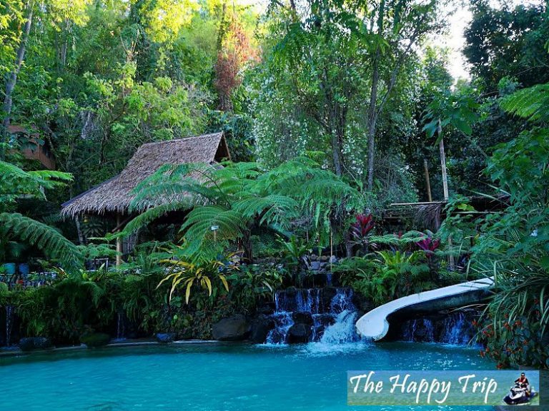 FOREST CAMP | VALENCIA, NEGROS ORIENTAL