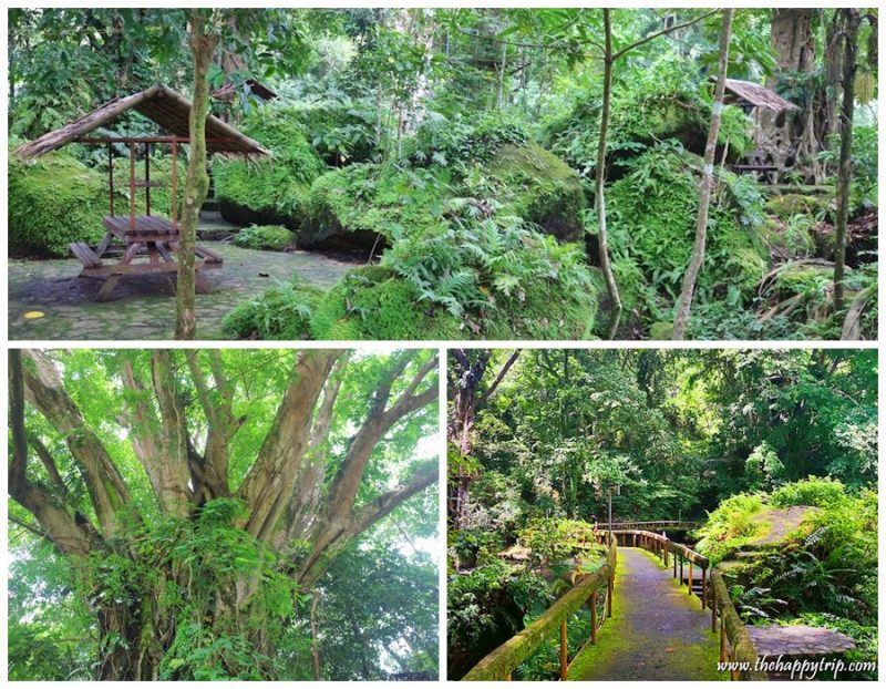 LAKE BALANAN, NEGROS ORIENTAL TRAVEL GUIDE