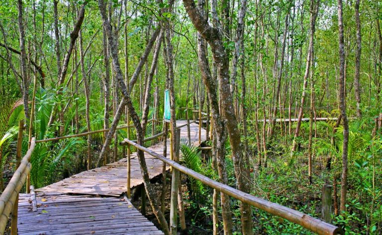 KALIBO AKLAN TRAVEL GUIDE | The Happy Trip Travel Blog