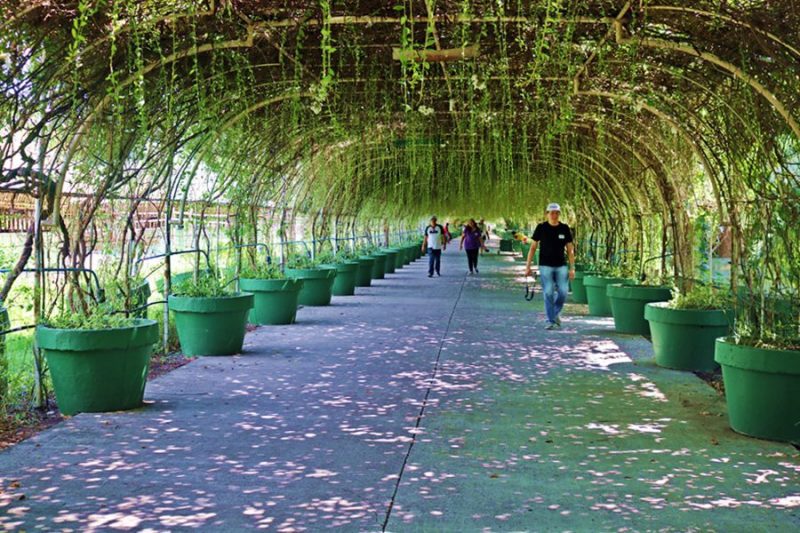 GARIN FARM ILOILO TRAVEL GUIDE | The Happy Trip