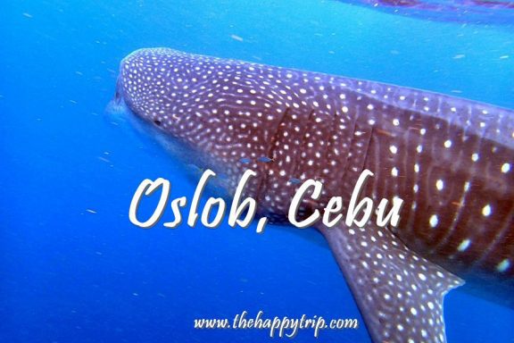 OSLOB TOURIST SPOTS |14 THINGS TO DO + TRAVEL GUIDE