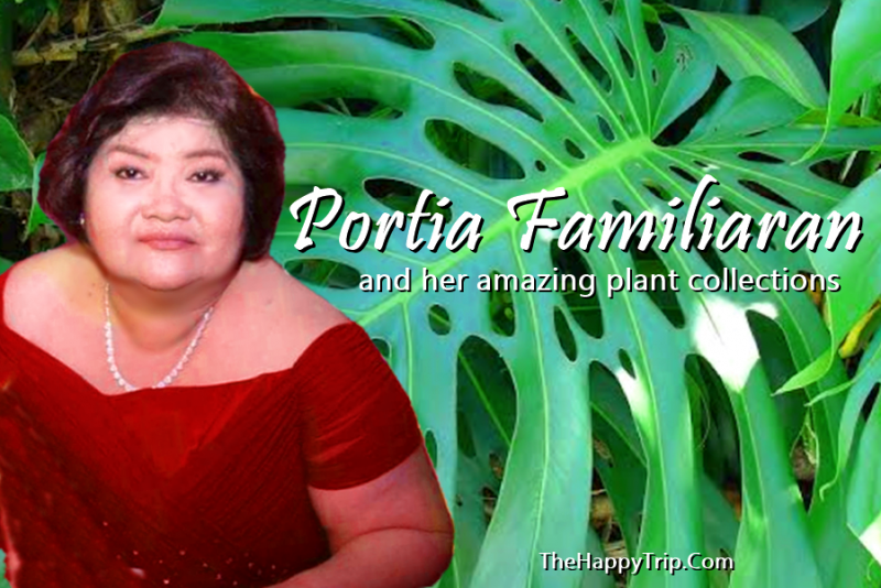 PORTIA FAMILIARAN AND HER AMAZING PLANT COLLECTIONS