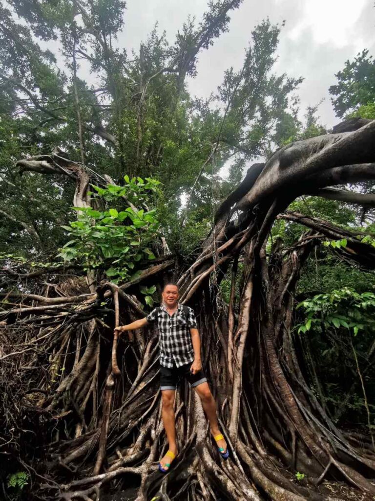 NOGAS ISLAND | A Hidden Paradise in Anini-y, Antique