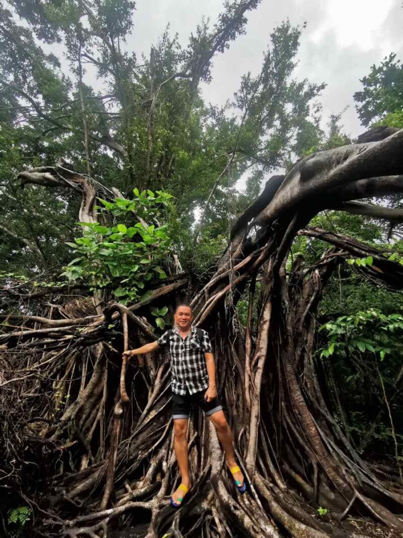 NOGAS ISLAND | A Hidden Paradise in Anini-y, Antique