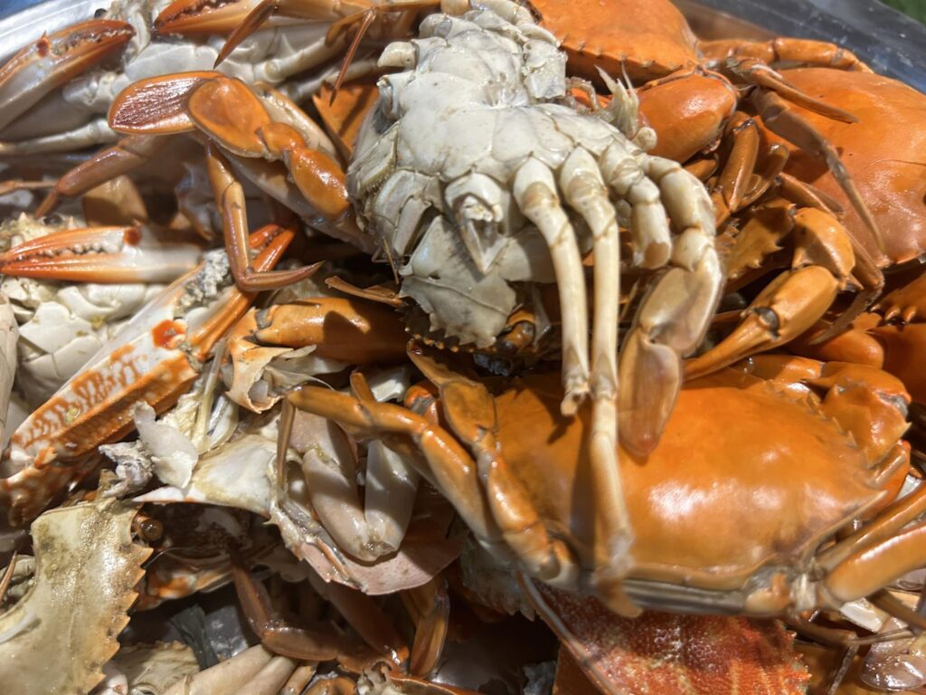 HUNASAN SEAFOOD HOUSE : Restaurant Review